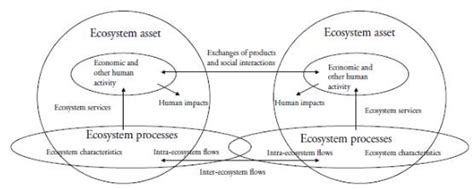 The Seea Eea Basic Model Of Ecosystem Stocks And Flows Figure 21 In