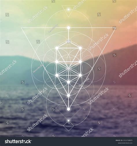 Flower Life Tree Life Interlocking Circles Stock Vector Royalty Free Shutterstock