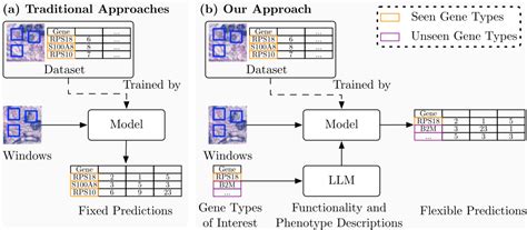 [논문 리뷰] Spatial Transcriptomics Analysis Of Zero Shot Gene Expression Prediction