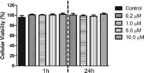 Hep 2 Cell Viability Was Determined By Mtt Assay At 1 And 24 H After