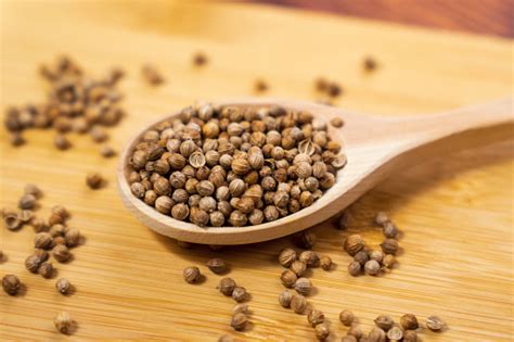 말린 고수풀 씨앗 향기로운 향신료 재료 아시아 음식의 클로즈업 갈색에 대한 스톡 사진 및 기타 이미지 갈색 건강한 생활방식 건강한 식생활 Istock