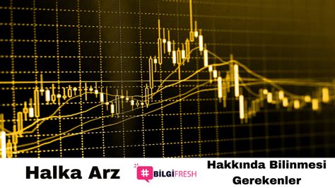 halka arz nedir halka arz hisseleri nasıl alınır BİLGİFRESH
