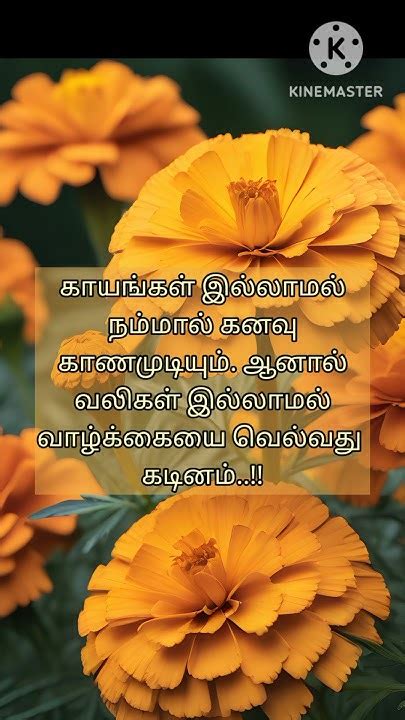 Quote Lifelessontamil Positive Positivethinkingtamil