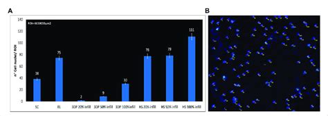 A Number Of Dapi Stained Cell Nuclei For The Region Of Interest