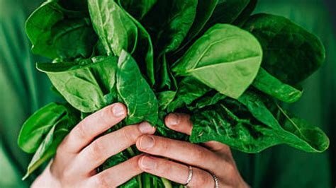 Easy Fried Spinach Recipe শীতের দিনে পালং দিয়ে বানিয়ে নিন এই রেসিপি