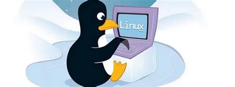 A Importância Do Linux Para Um Programador