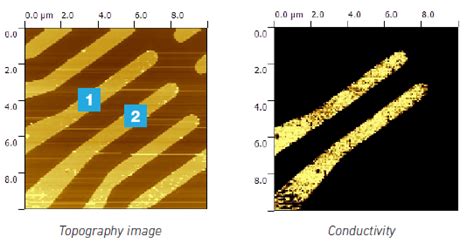 Conductive Atomic Force Microscopy C Afm Mode Afmworkshop