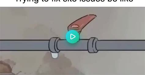 Bugs Bugs Bugs Album On Imgur