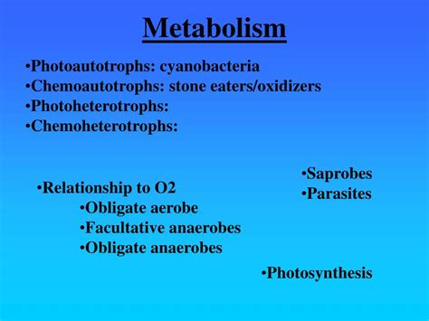 Ppt Prokaryote And Metabolism Powerpoint Presentation Free Download