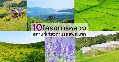 เที่ยวชม 10 โครงการหลวง ตามรอยพระบาท Page 4 Of 5 บ้านและสวน