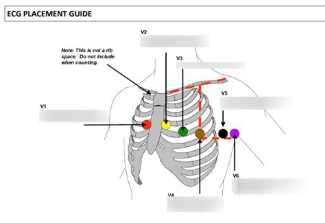 Ecg Leads Diagram Diagram Quizlet