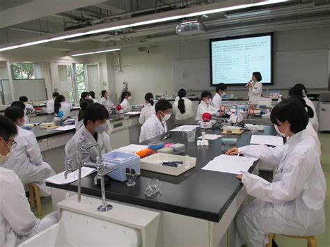 高大連携事業「高校生遺伝子解析実習」を実施し、96名の高校生が参加しました 日本薬科大学 薬学科・医療ビジネス薬科学科 （さいたま
