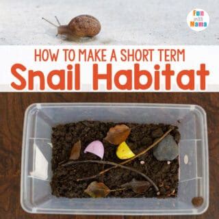 Snail Habitat How To Make A Snail Terrarium Fun With Mama