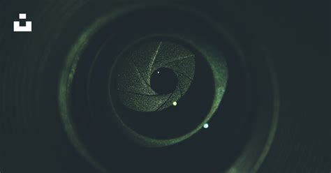 어두운 배경의 녹색 잎 클로즈업 사진 Unsplash의 무료 인도 이미지