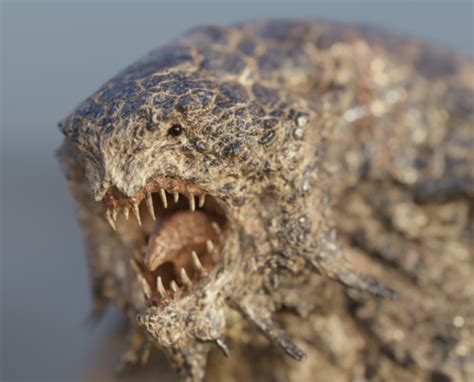 Eevee Gets New Depth Of Field Implementation Blendernation