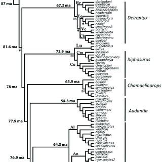 A Results Of The Bayesian Phylogenetic Analysis Of Molecular Data From Download Scientific