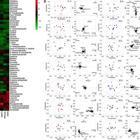 Effects Of Cd Tbt And Mix Exposure On Plasma Metabolism Of Juvenile