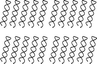 Understanding Corkscrew Curls: Your Ultimate Hair Guide | ShunSalon