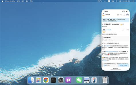 这上班摸鱼不得爽死吗 搞七捻三 Linux Do