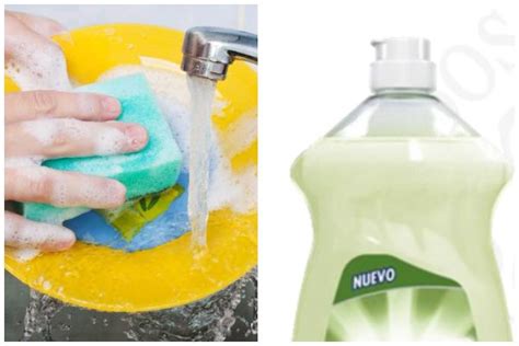 Profeco Lanza Alerta Por Bacteria En Un Lote Completo De Lavatrastes
