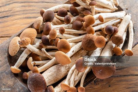 테이블에 나무 그릇에 Armillaria 멜레아 또는 꿀 버섯 맨 위 보기입니다 0명에 대한 스톡 사진 및 기타 이미지 0명