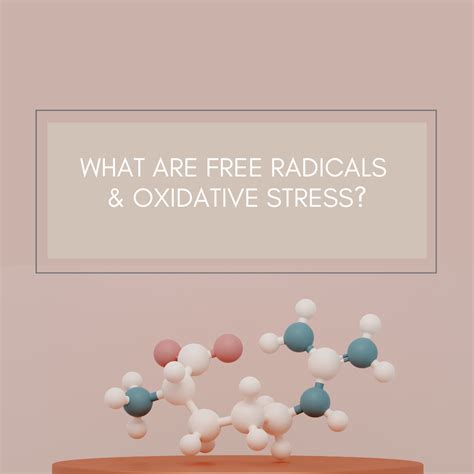 What Are Free Radicals And Oxidative Stress Nutrition Matters Skin