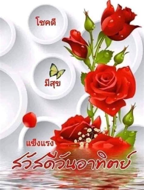 ปักพินโดย Nonmai Ka Baimon ใน Hello O ทักทายสวัสดี สุขสันต์วันอาทิตย์ ฝันดีราตรีสวัสดิ์ การ