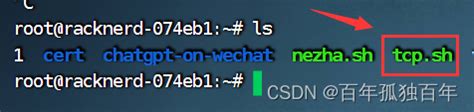 解决linux如何安装BBRplus以及安装BBRplus版加速失败的问题 CSDN博客