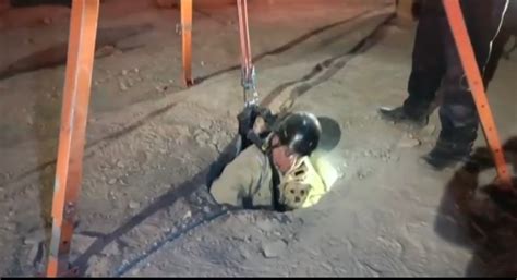 Rescatan A Tintán El Perrito Cayó En Una Alcantarilla 30 Metros