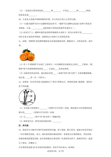第7章 植物和微生物的生殖与发育 综合练习（含答案） 21世纪教育网