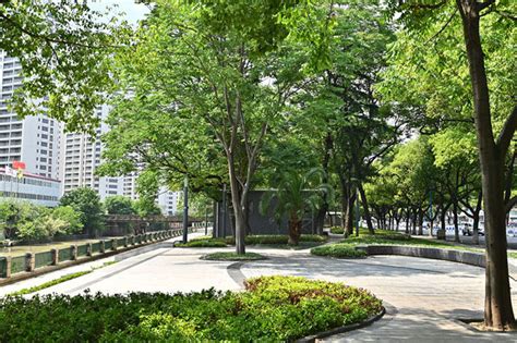 常州市77条精品街道建设今年启动荔枝网新闻
