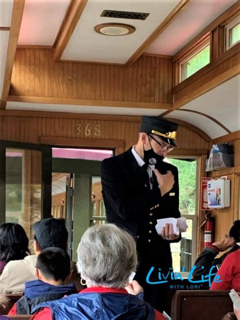 Take An Epic Train Adventure On The White Pass Scenic Railway Skagway