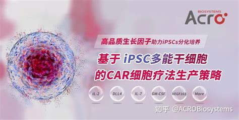 基于iPSCs的CAR细胞疗法生产策略 知乎