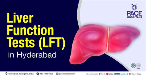 Lft Liver Function Test In Hyderabad Procedure Indication And Price
