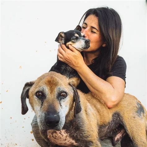 Cães Que Foram Abandonados Amarrados Na Enchente Ganham Na Loteria E