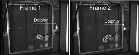 The Peak Hold Detector Output As It Monitors The Maximum Amplitude Of Download Scientific