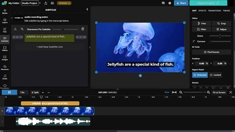 The 5 Best Free Auto Subtitle Generators Online