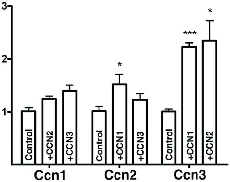 Chart Showing The Regulation Of The Ccn1 Ccn2 And Ccn3 Genes In The Download Scientific
