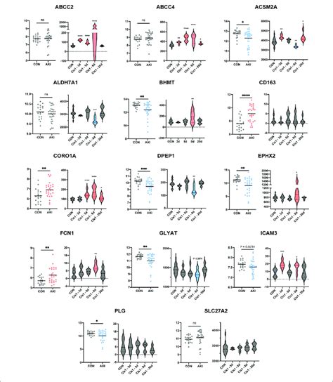 Extensive New Dataset Validation Of Key Genes Based On Gse30718 And Download Scientific