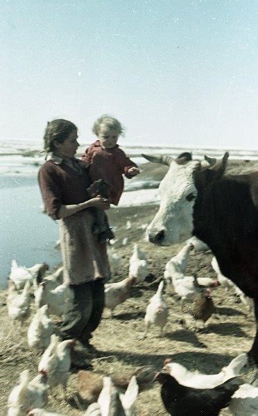 Фото Целина 1954 год История России в фотографиях