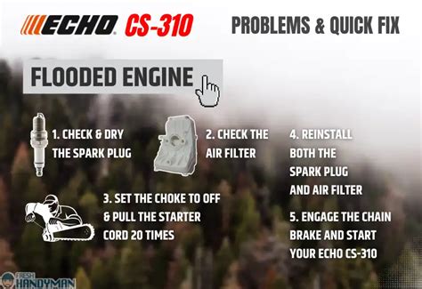 15 Most Common Echo CS 310 Problems And Quick Fix