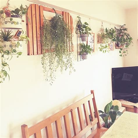 リビング観葉植物フェイクグリーンdiy多肉植物などのインテリア実例 2015 04 26 105829