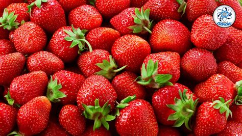 La Manera Correcta De Desinfectar Las Fresas Según La Ciencia