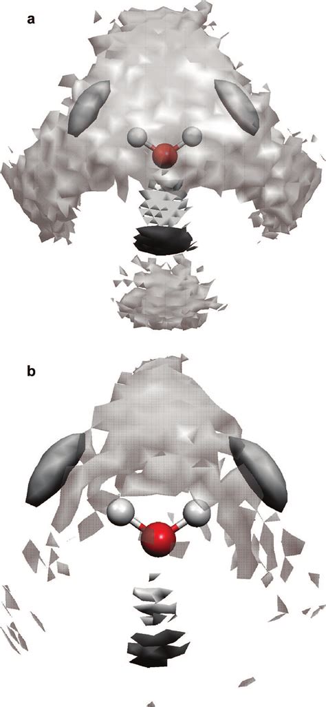 The Spatial Distribution Of The Water Gray Around A Central Water