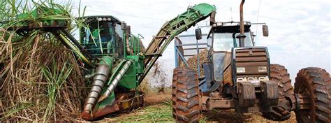 Brazil Sugarcane Growth Can Meet Biofuel Need And Not Drive