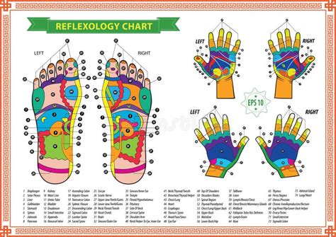 Fuß Und Handreflexzonenmassagediagramm Stock Abbildung Illustration