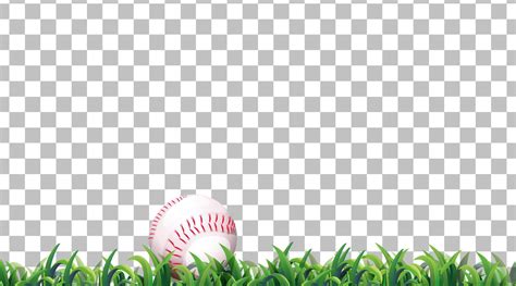Baseball On The Grass Field On Grid Background 4384730 Vector Art At