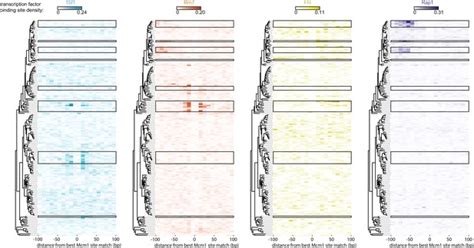 Figures And Data In Intrinsic Cooperativity Potentiates Parallel Cis