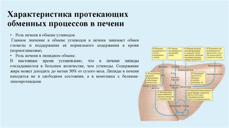 Методы биохимических исследований функционального состояния печени