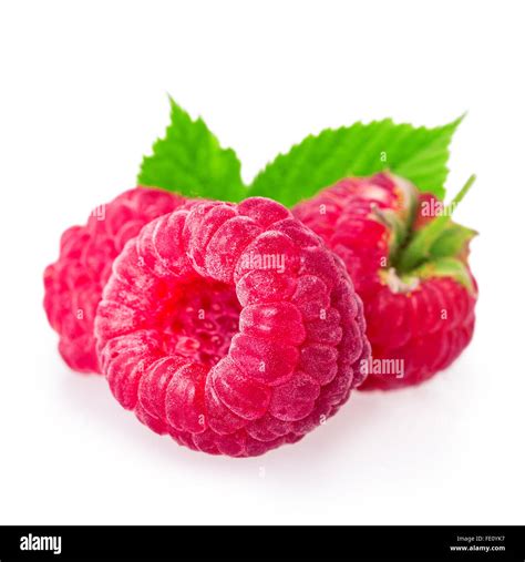 raspberry with leaves isolated on white background clipping path stock